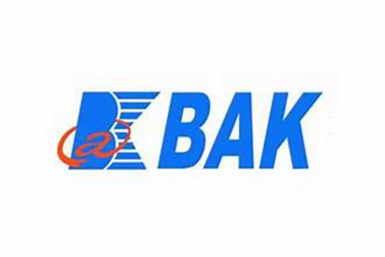 BAK Battery Launches ENDURO S+ for C&I Applications