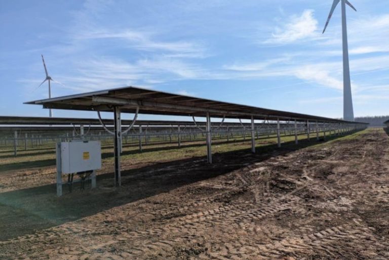 Global Solar Energy Storage Market Trends in 2026